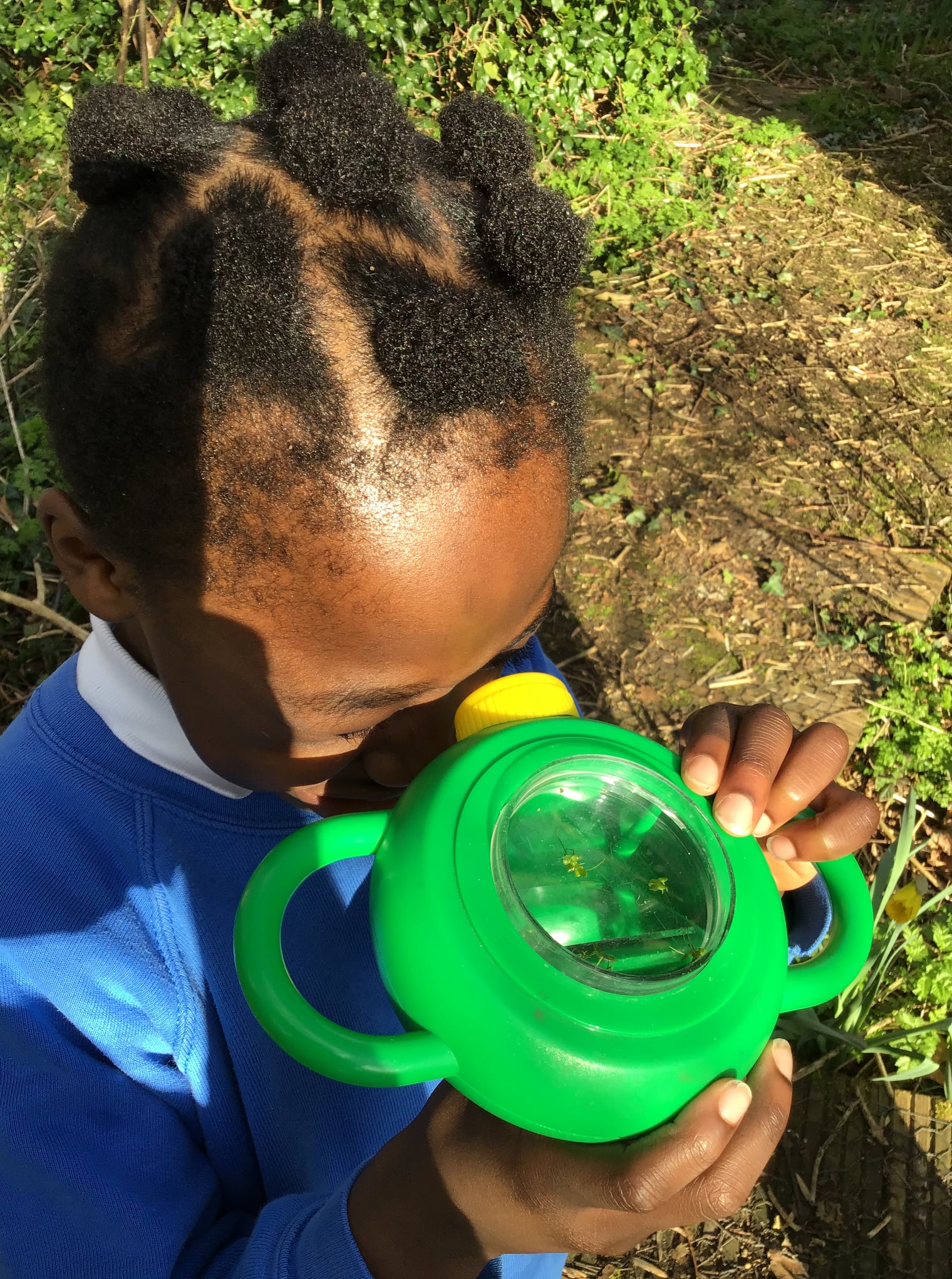 Learning in Year 2 – Oakway Academy